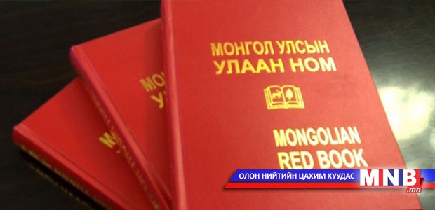 Та “Улаан ном”-ыг хэр сайн мэдэх вэ